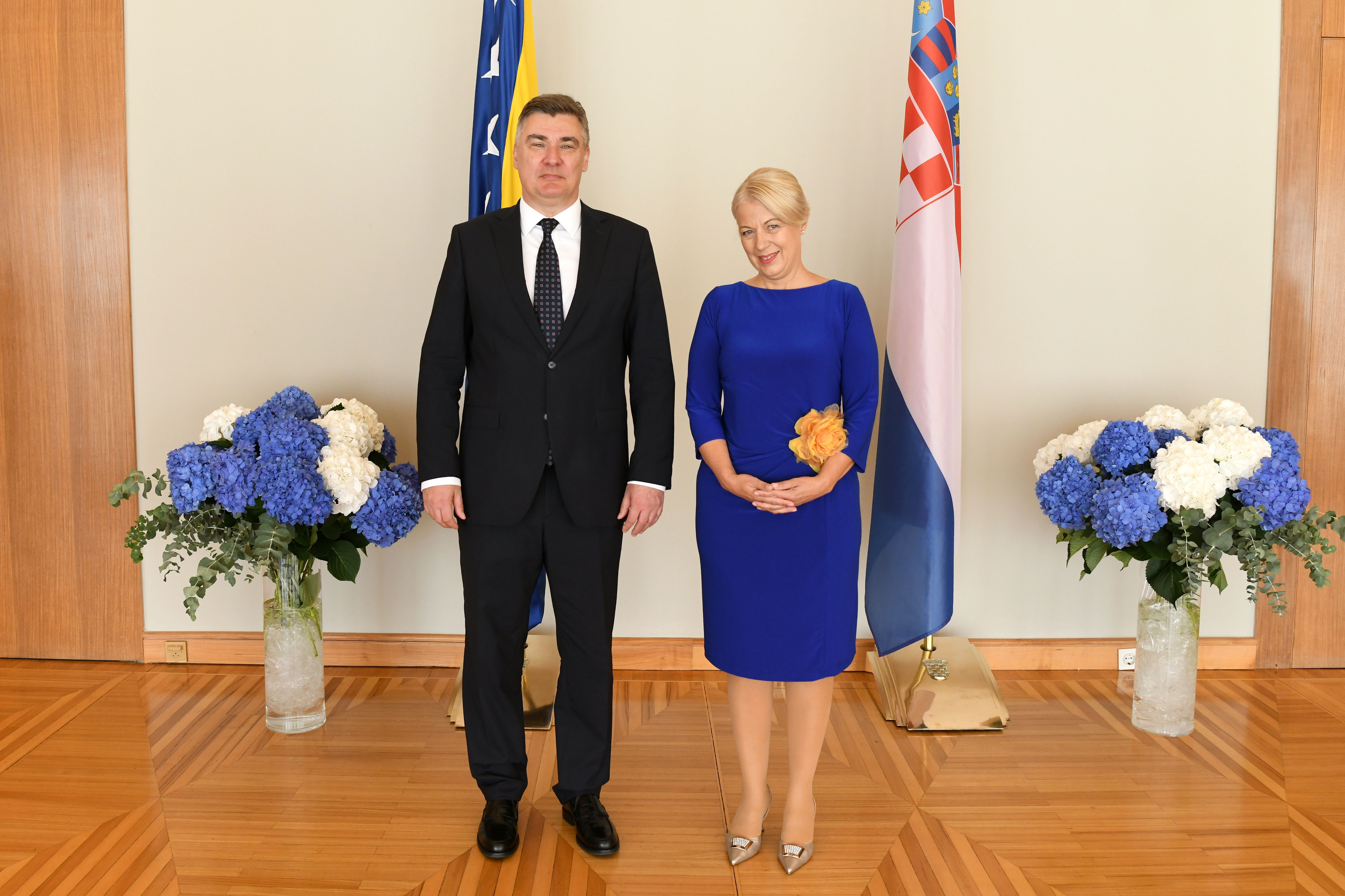 Veleposlanica Bosne i Hercegovine predala je vjerodajnice Predsjedniku ...